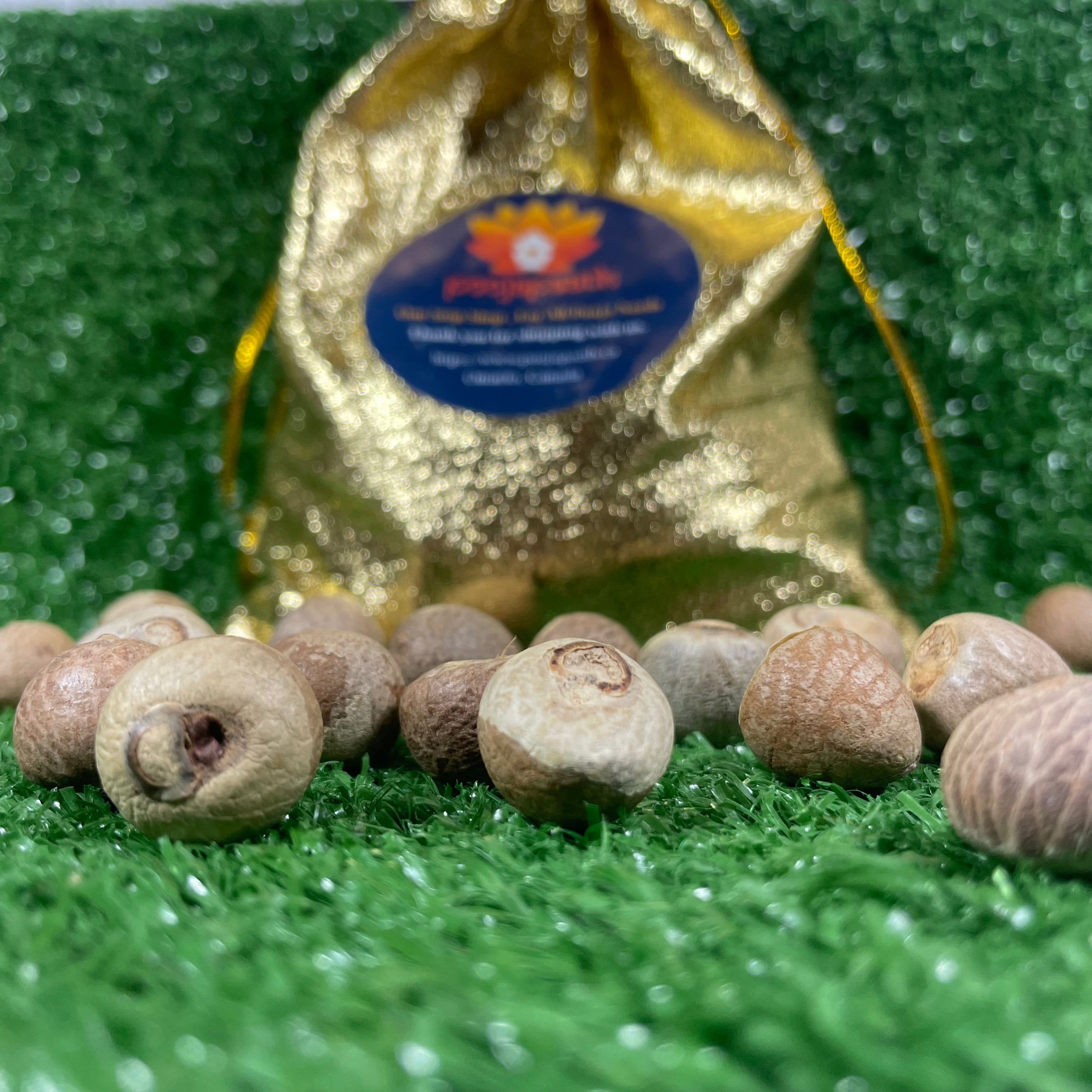 Supaari (Betel Nut) | PoojaPaath - Devotion at your Door